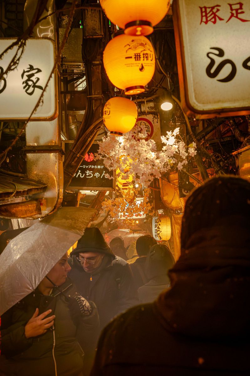 スナップ三昧 010 | GANREF