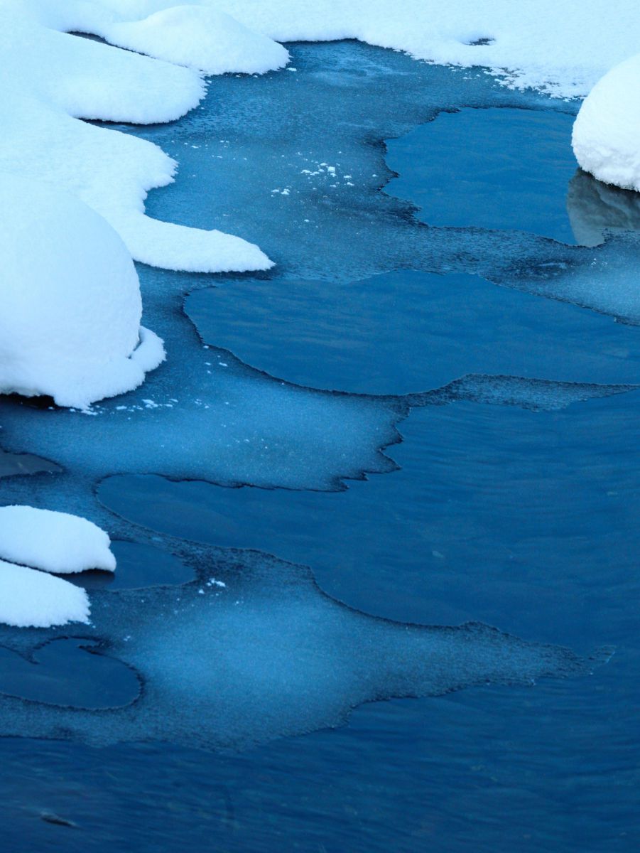 ー 薄凍り ー | GANREF