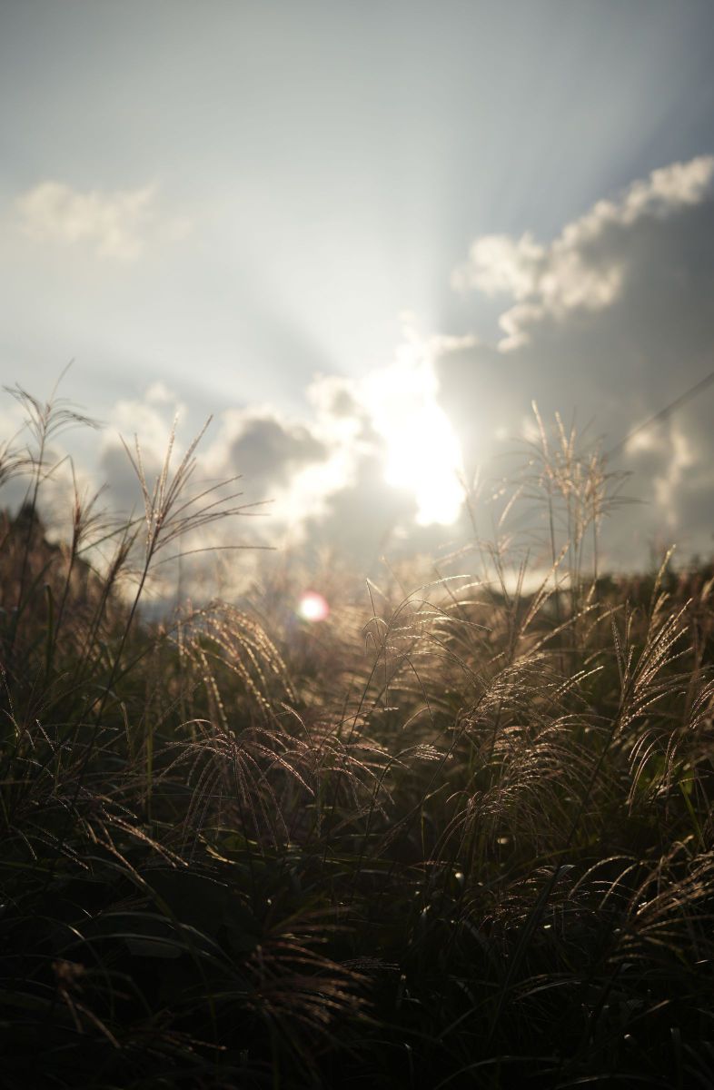 DSC0E4510.jpeg | GANREF