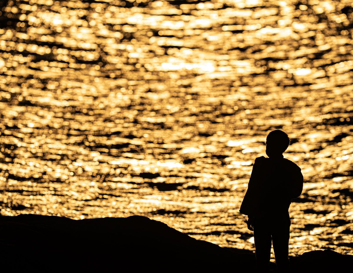 saturday night fantasy | GANREF