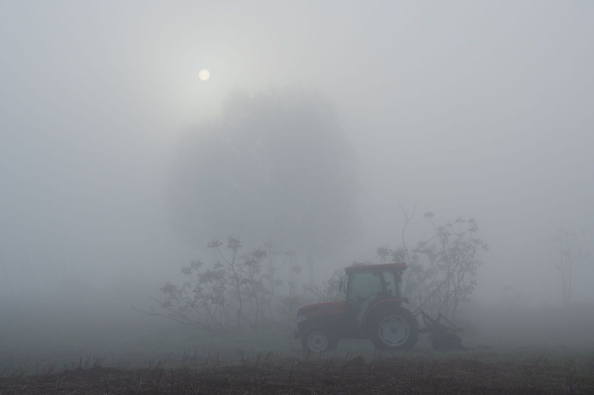 morning mist | GANREF