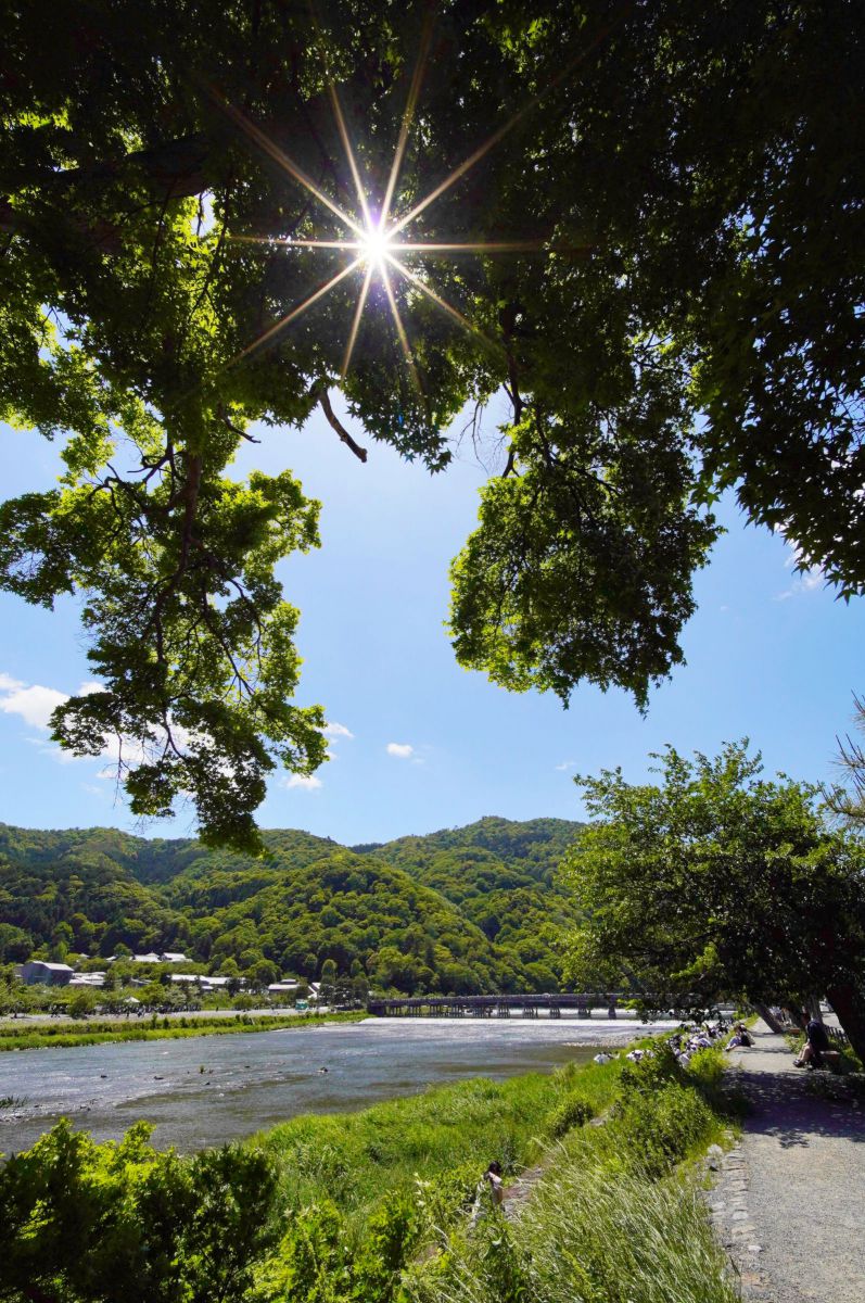 五月晴れ | GANREF