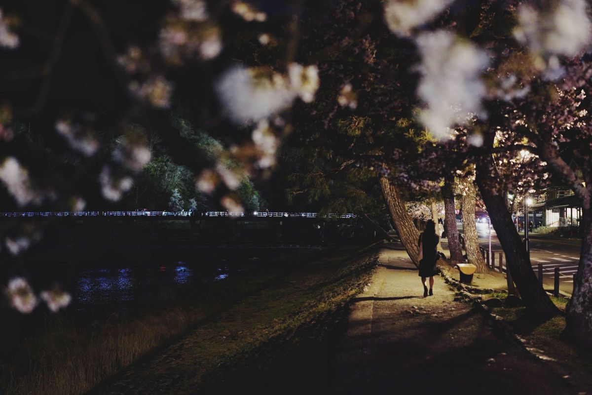 夜の嵐山 | GANREF