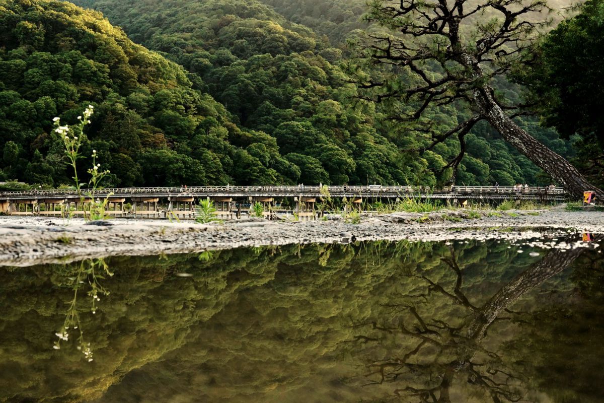 雨上がり | GANREF