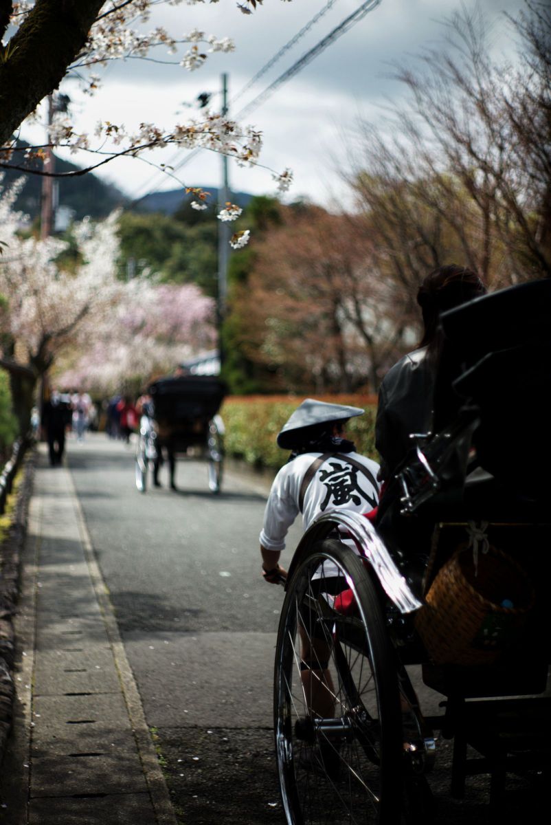 桜に向かって走る | GANREF