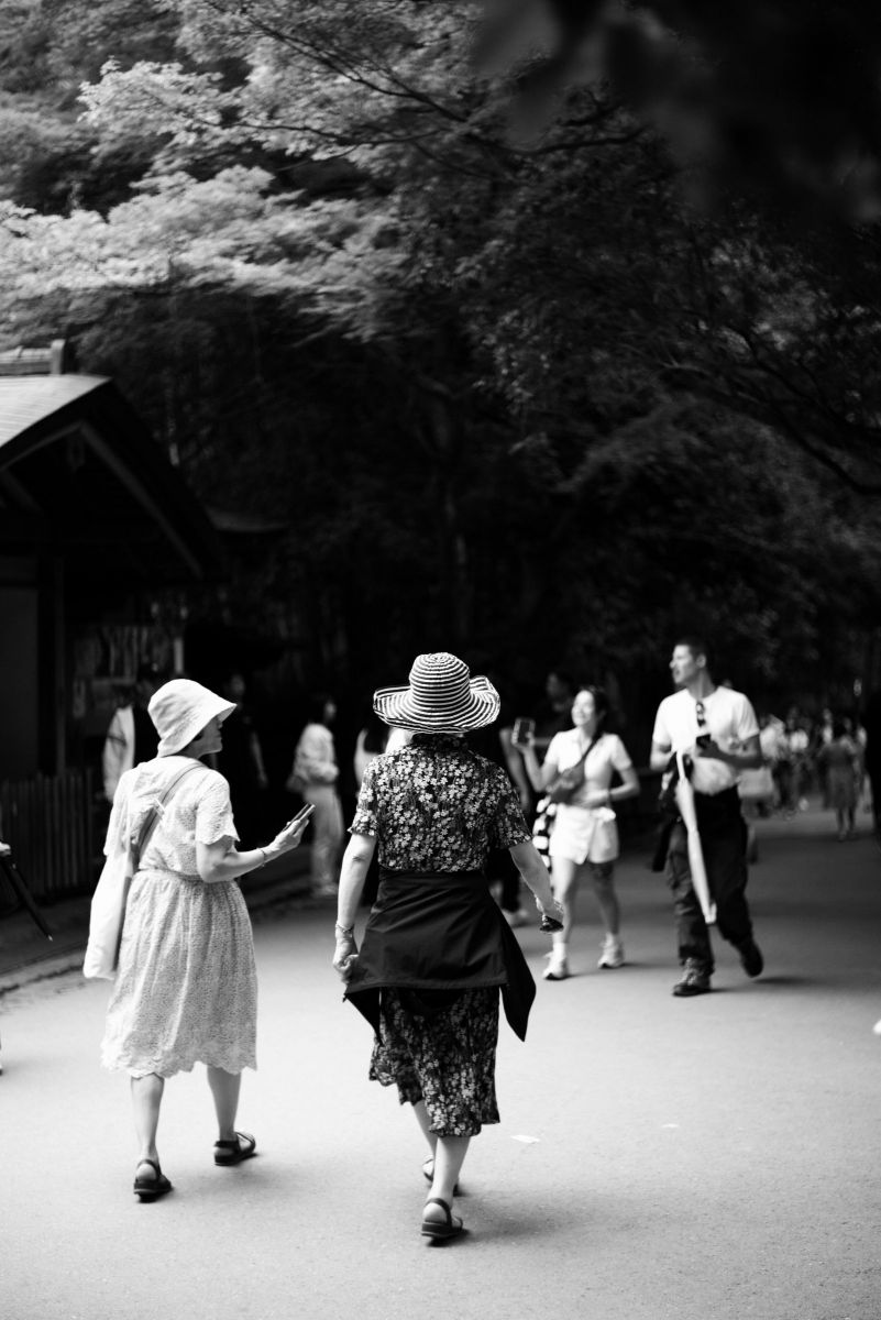 kyoto snap | GANREF