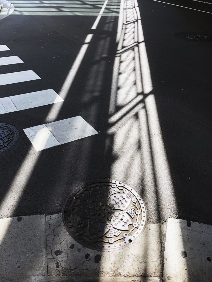 Guardrail Shadow | GANREF