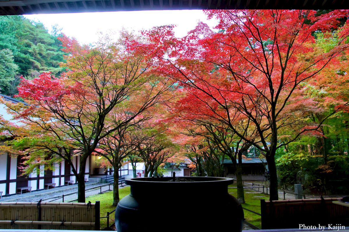 香炉越しに紅葉 1 | GANREF