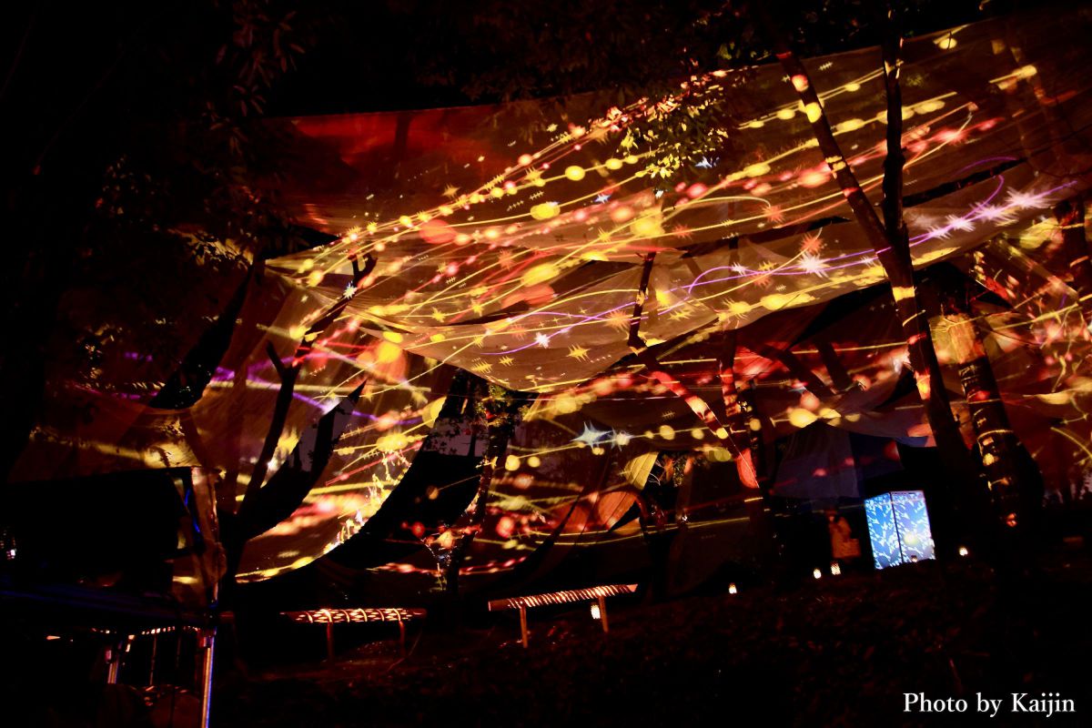 森をプロジェクションマッピング 6 | GANREF