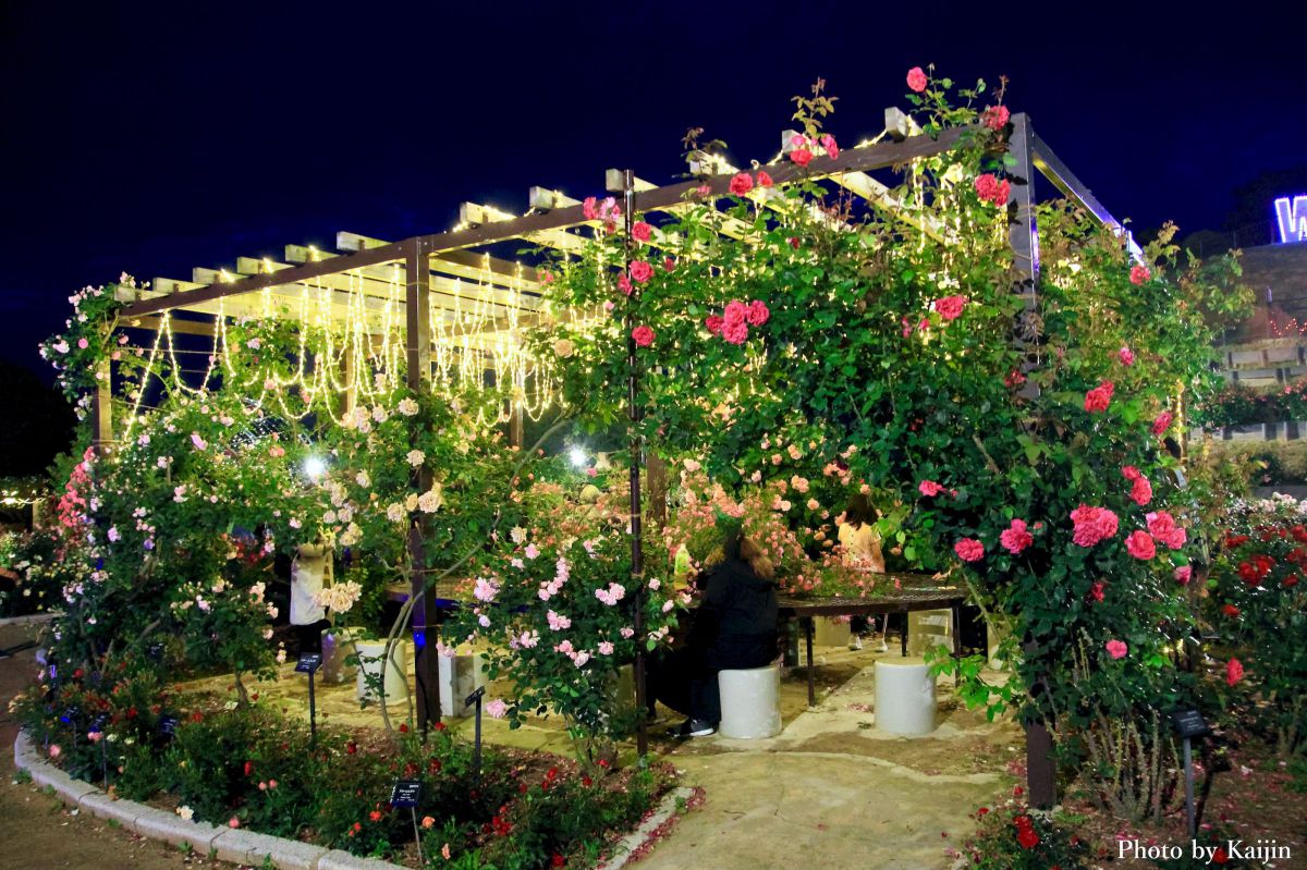 ナイトローズガーデン 3 | GANREF