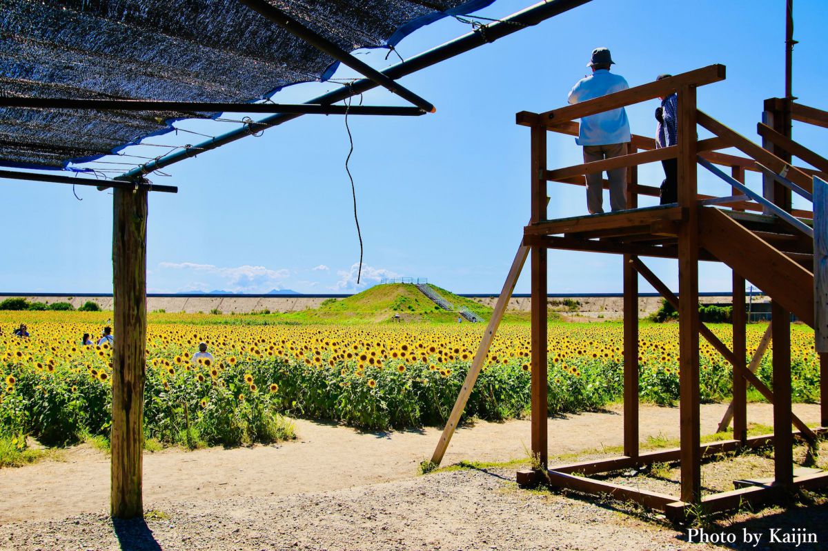 休憩処から覗く 3 | GANREF