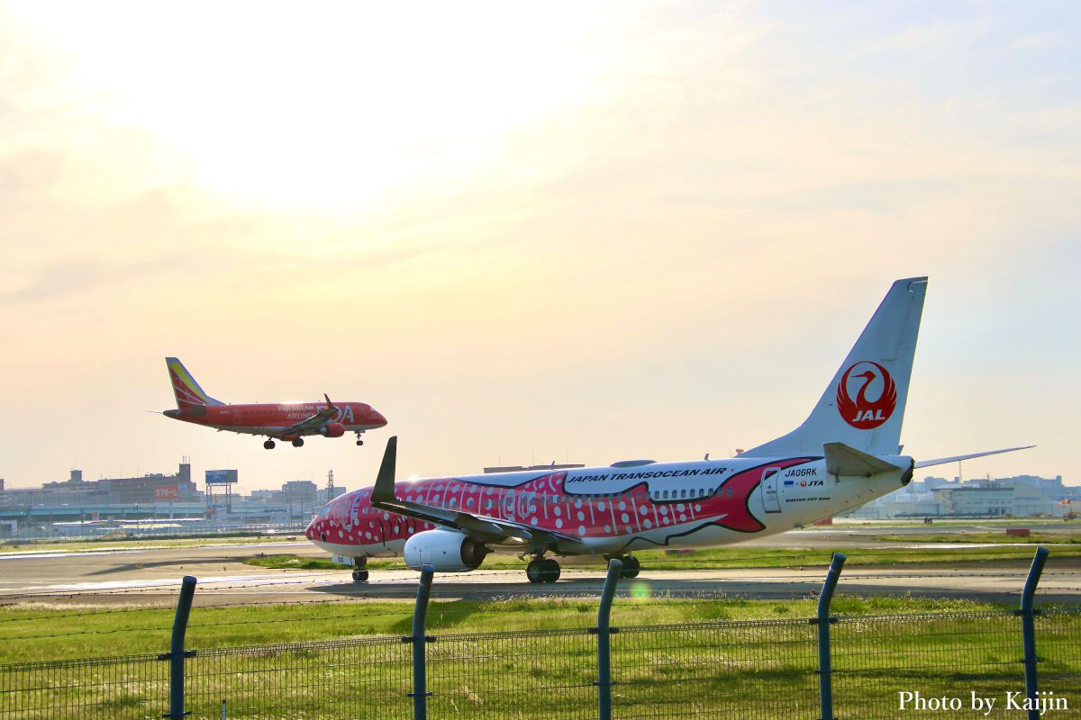 サクラジンベイ＆FDA | GANREF