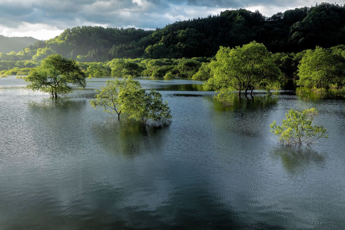 照り映える | GANREF