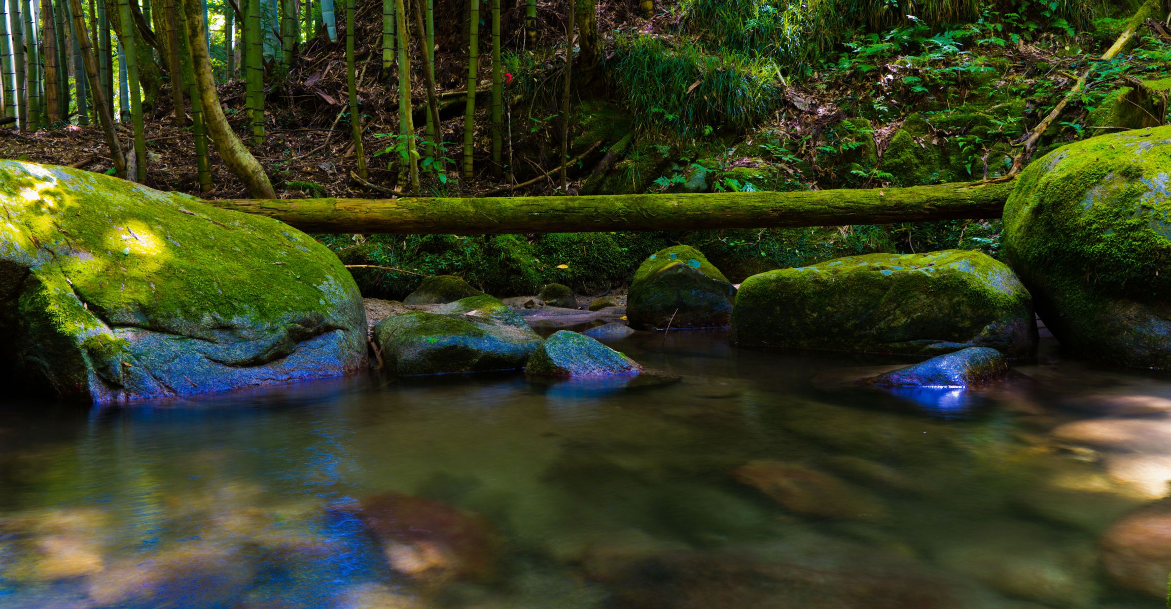 静かにながれ | GANREF