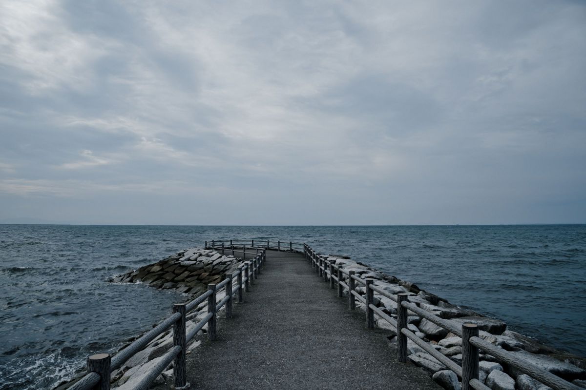 海上道、うみ、うえ、みち、産み植え未知 | GANREF