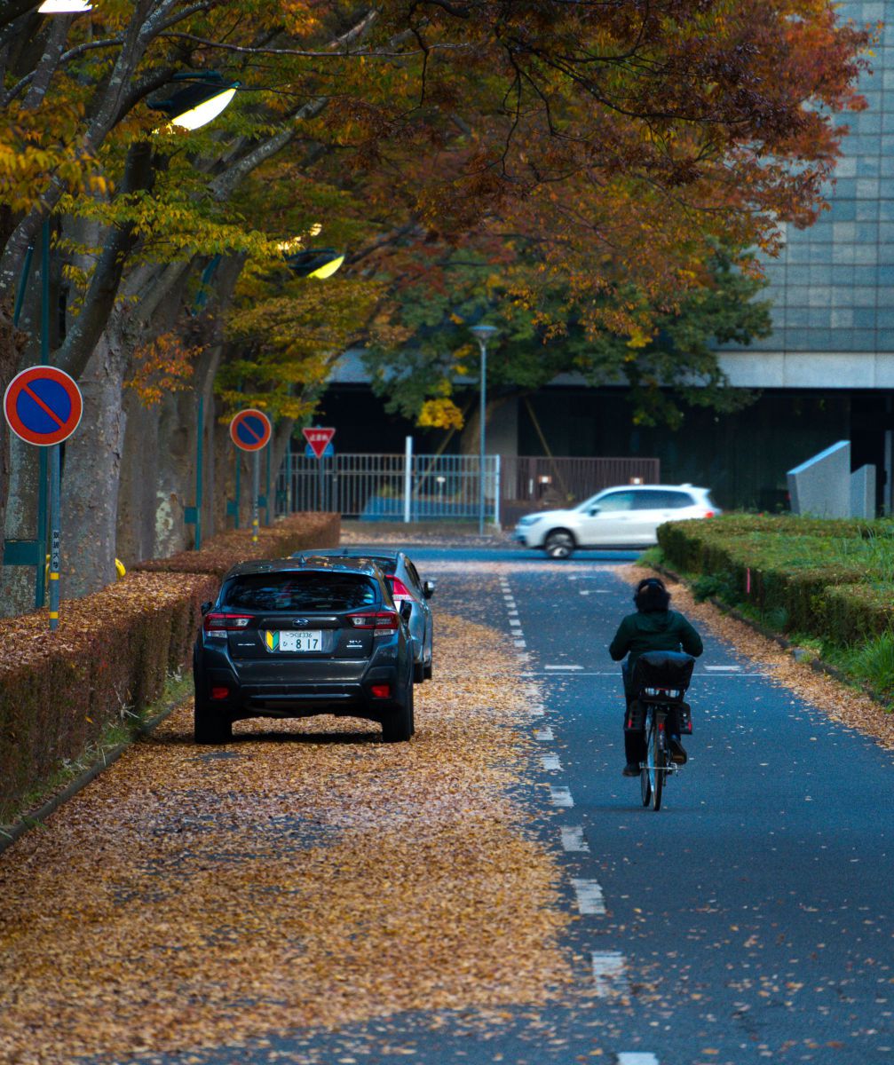 秋の車と春の自転車 | GANREF