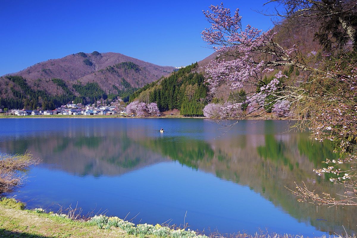 中綱湖に春きたる PART3 | GANREF