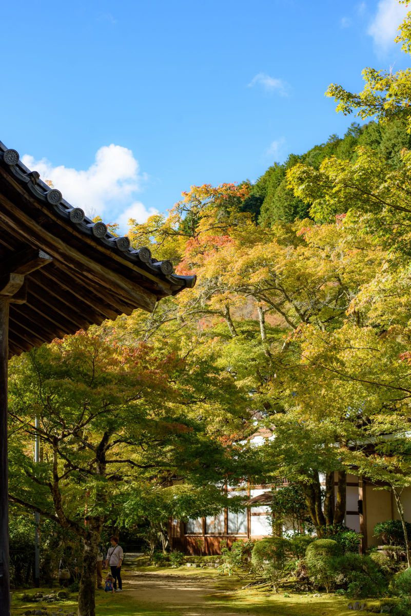 静かな秋 | GANREF