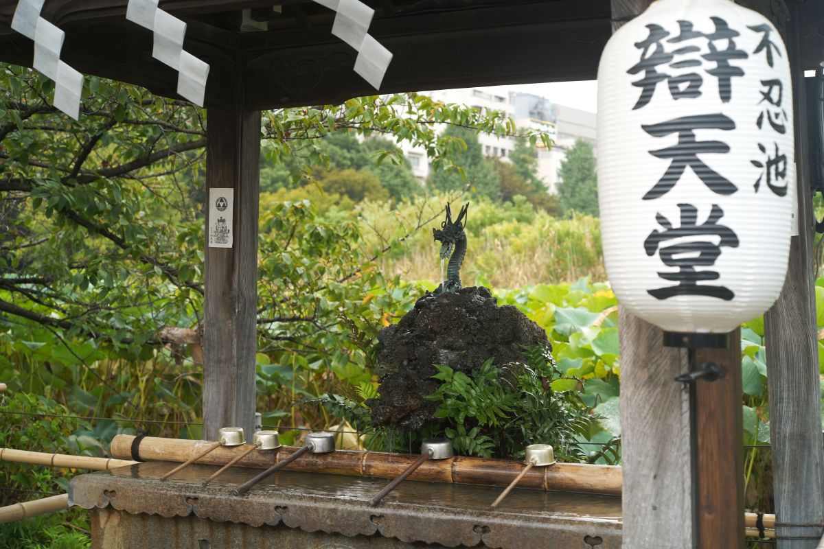 上野さんぽ | GANREF