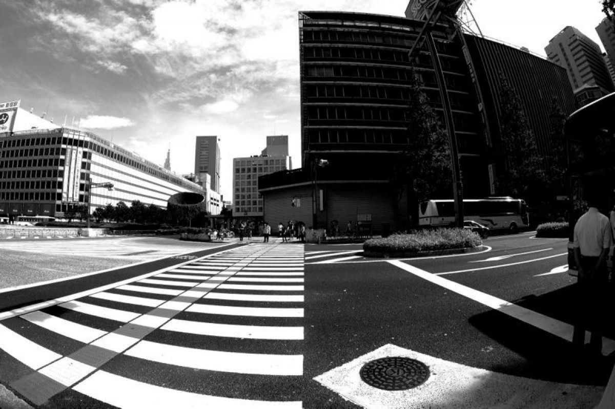 Light & Dark | GANREF