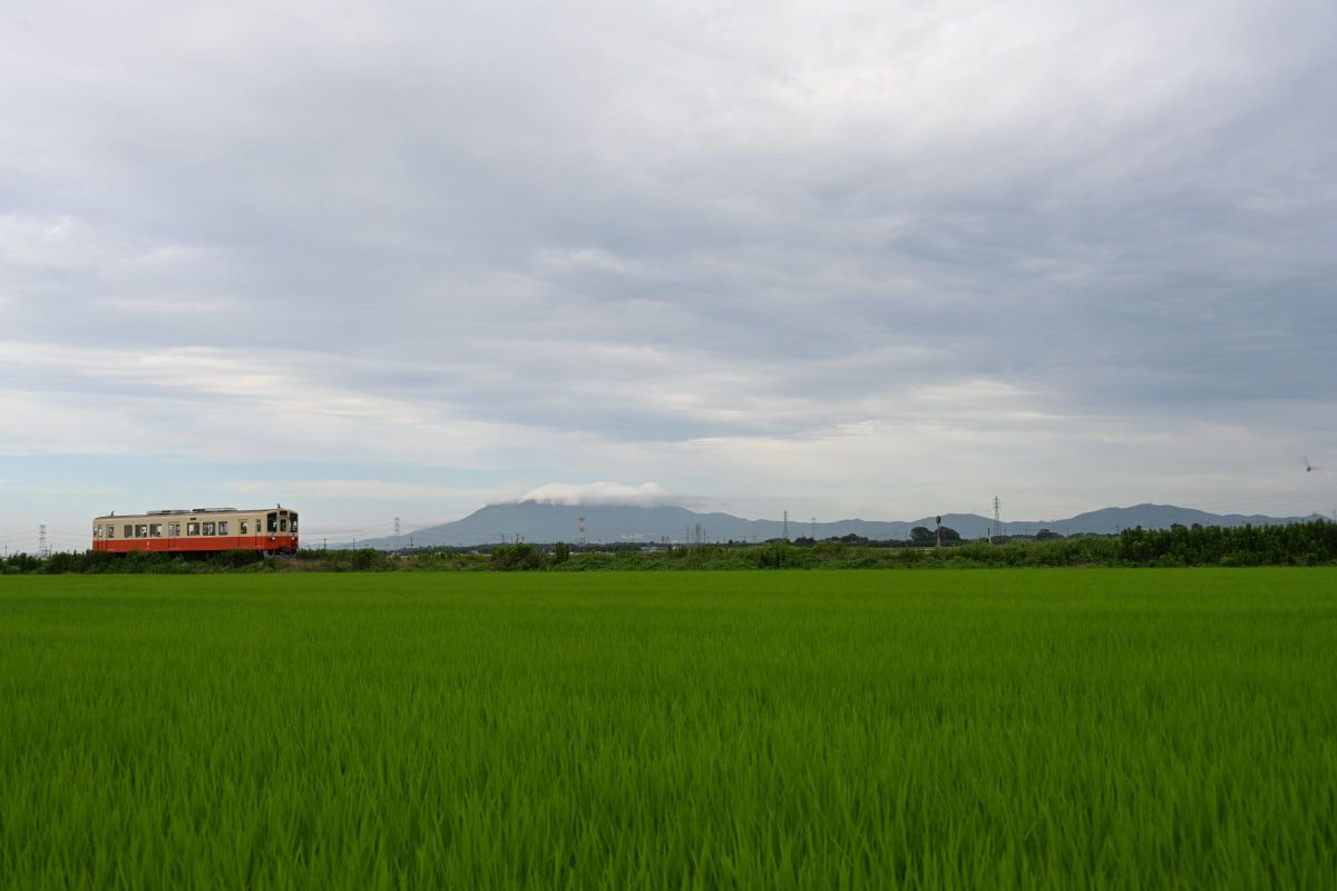 南石下～三妻 52 Weeks Project 1/52 | GANREF