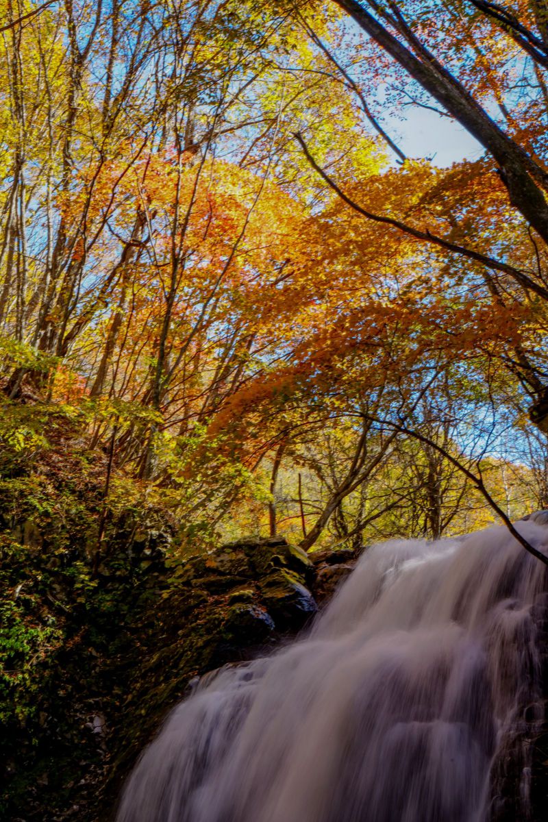 紅葉の滝 | GANREF