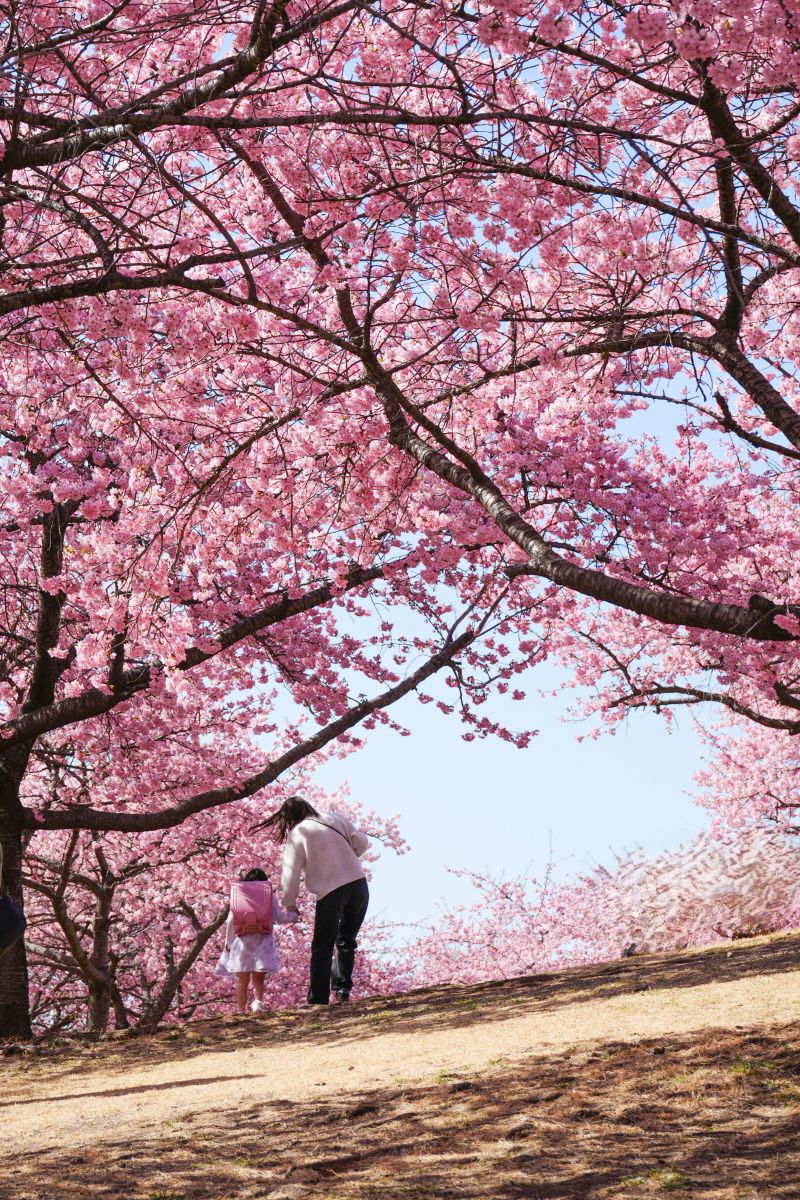 おめでとう | GANREF