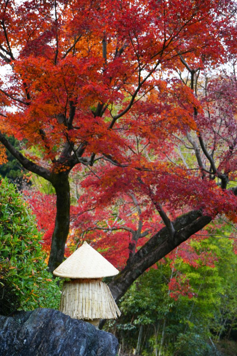 さすらいの傘地蔵 | GANREF