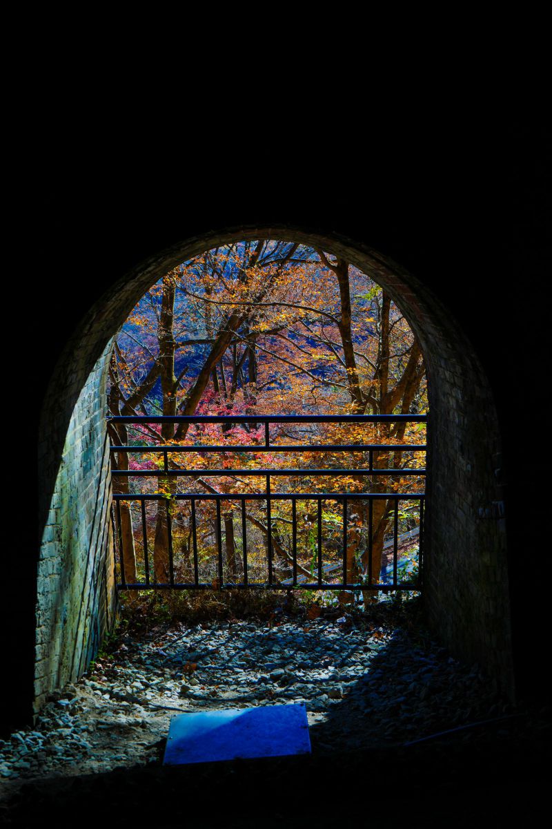 トンネルの向こう側 | GANREF