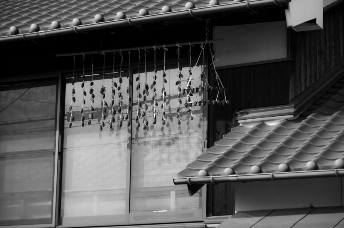 get back ① | GANREF