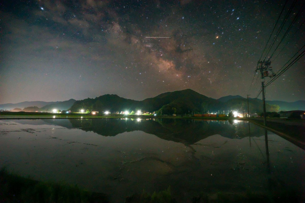 夜の水田 | GANREF