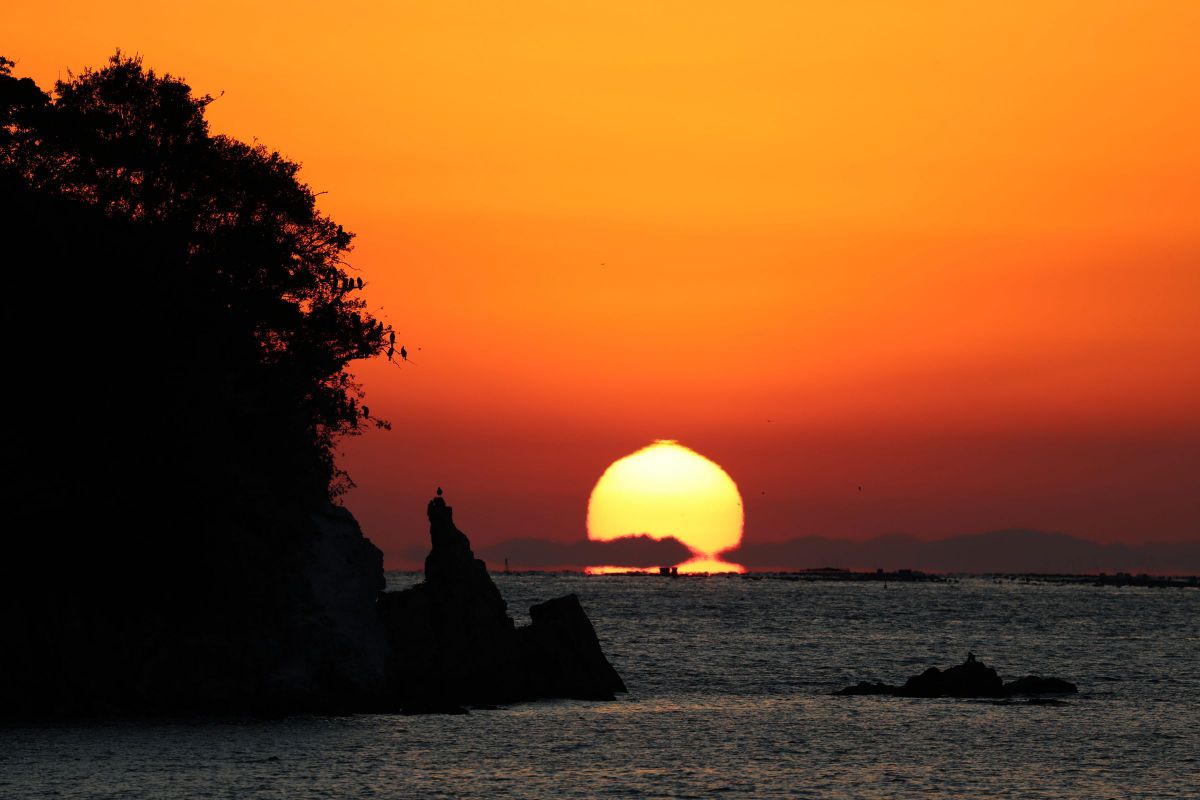 桃だるま | GANREF