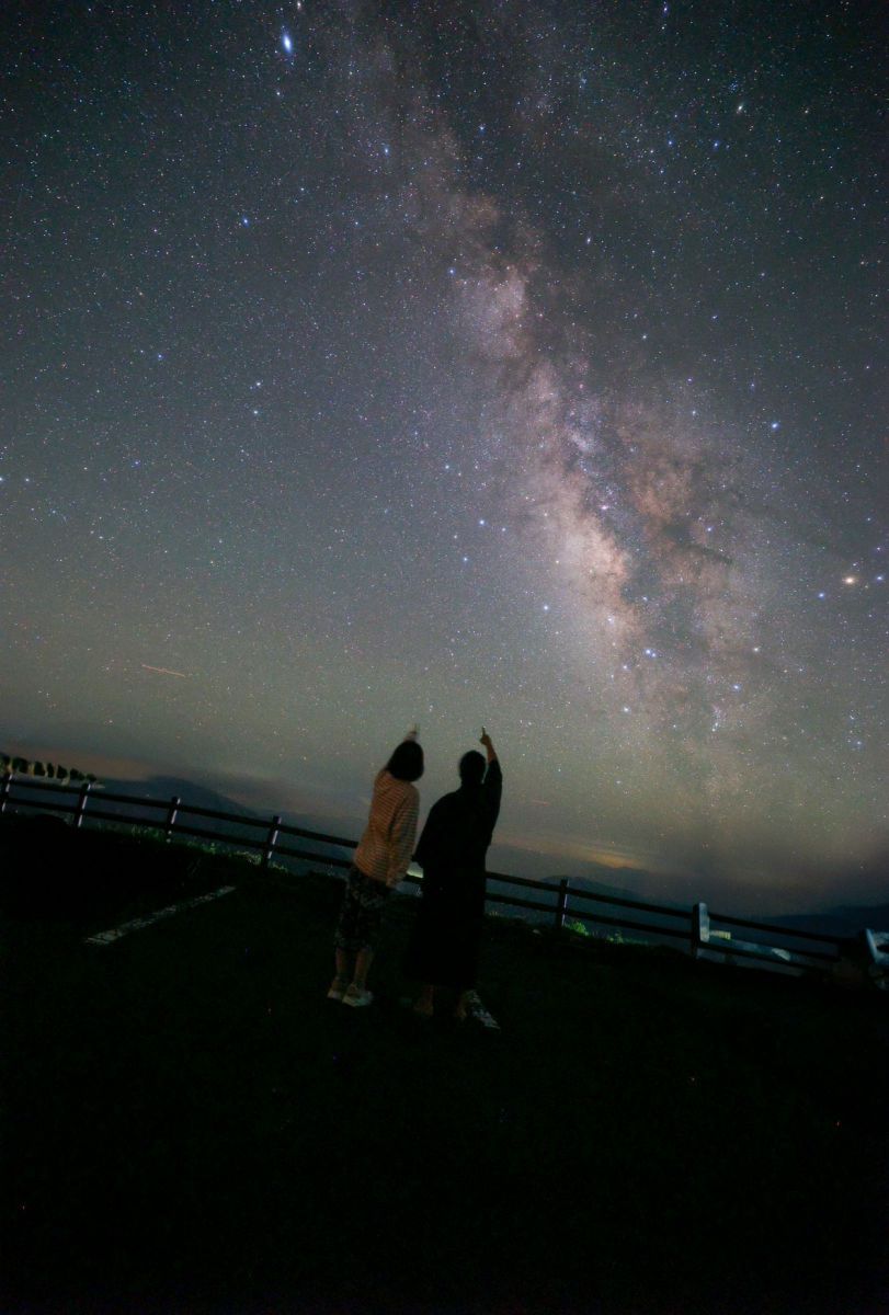 新婚さんいらっしゃい | GANREF