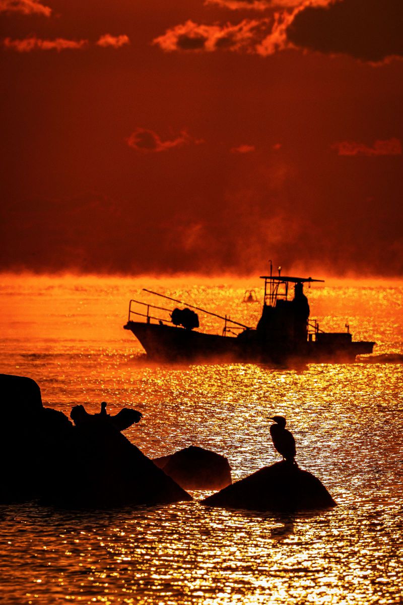 海ハンター | GANREF