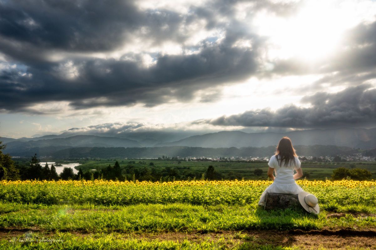 丘の上から | GANREF