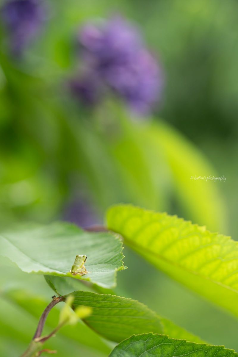 見送る梅雨空. | GANREF