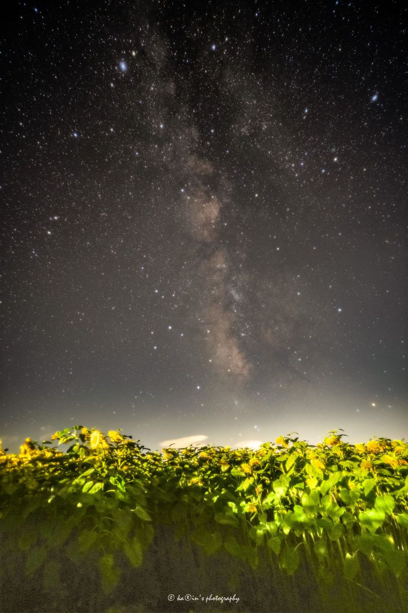 夏のソラに. | GANREF