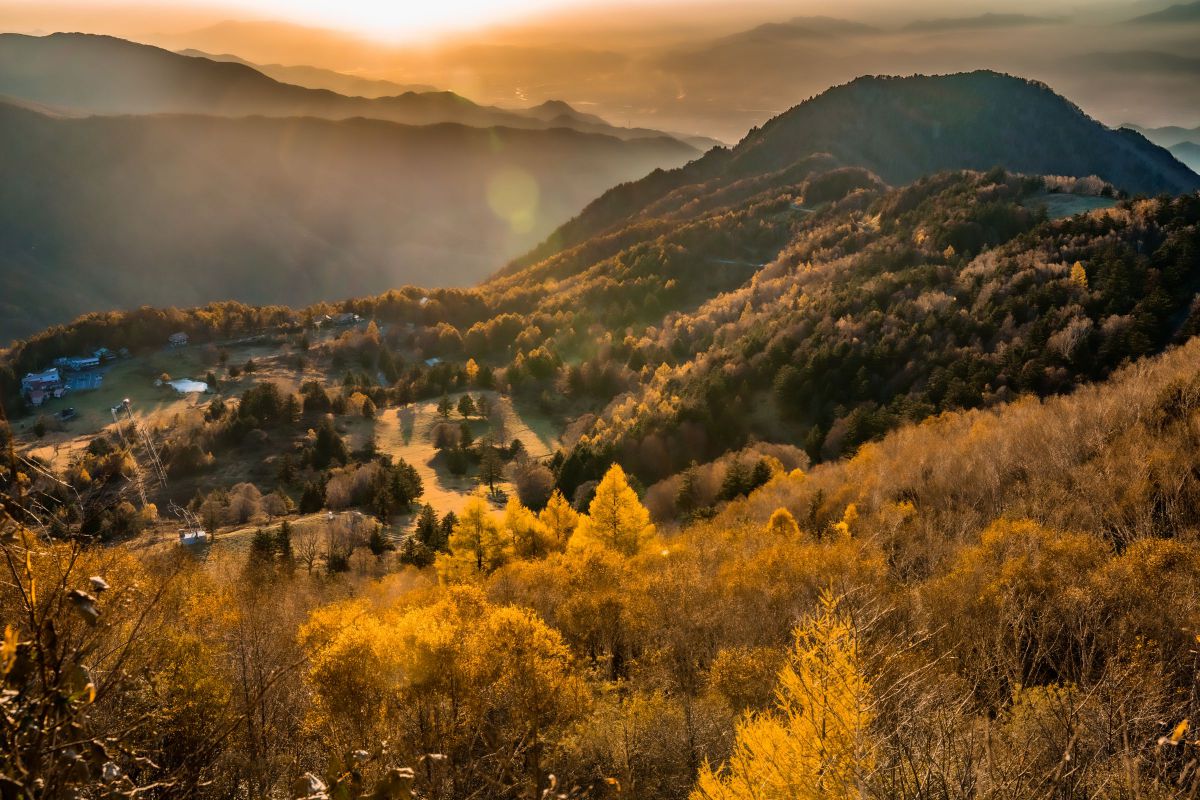 暮れゆく | GANREF