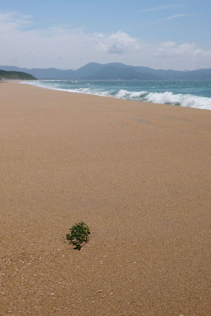 private beach | GANREF