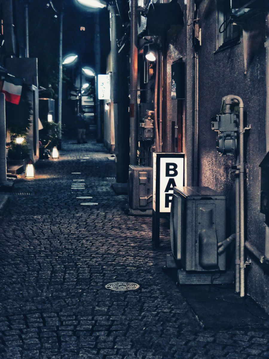 A bar on the back alley. | GANREF