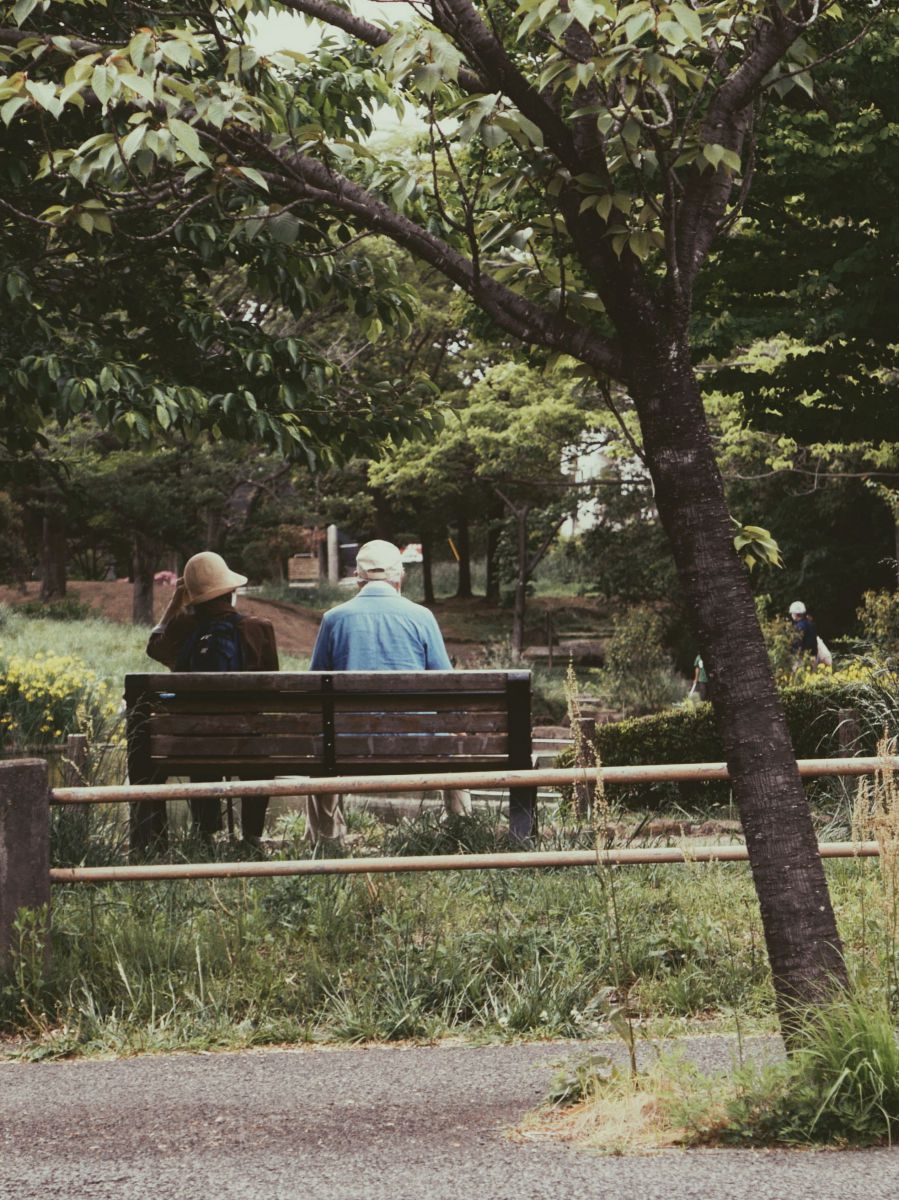 A bench for two. | GANREF