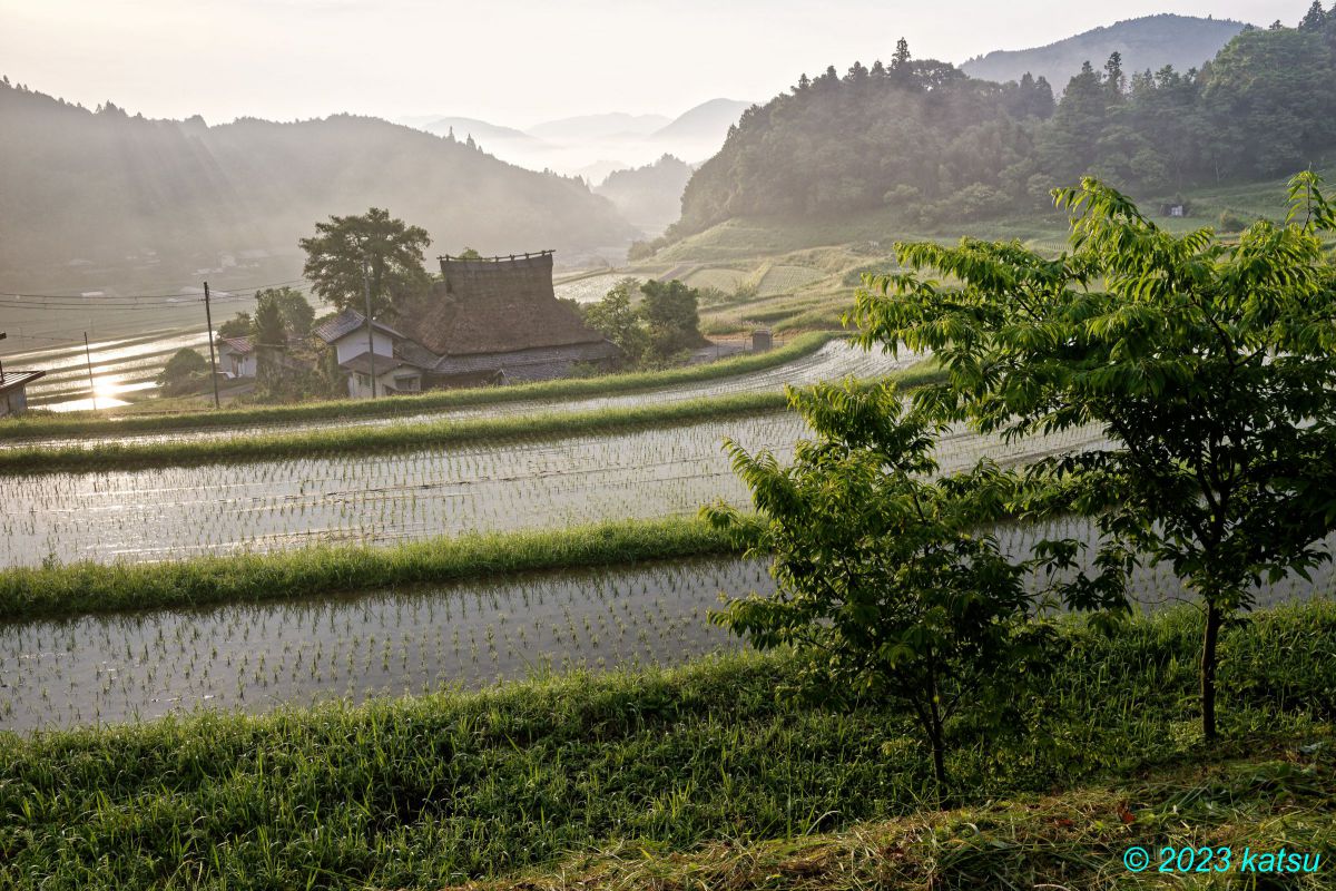 It's Show Time!! | GANREF