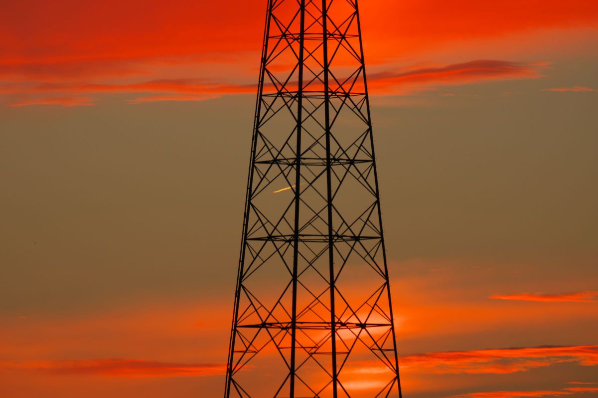 『caught the plane』 | GANREF