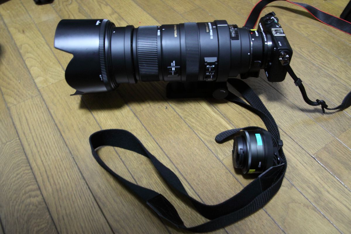 注目製品レビュー キヤノンEOS M2編 No5 野鳥撮影に挑戦 | GANREF