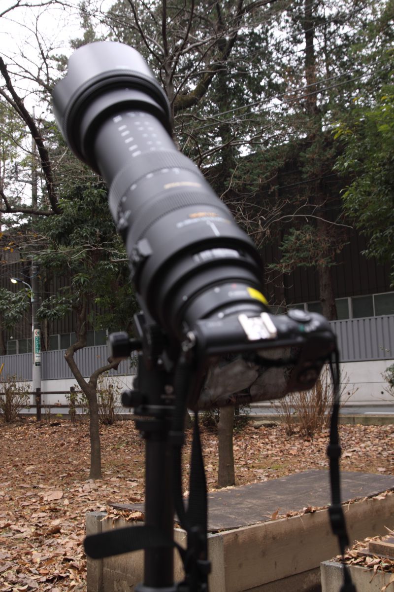 注目製品レビュー キヤノンEOS M2編 NO7 三脚を使用し野鳥撮影 | GANREF