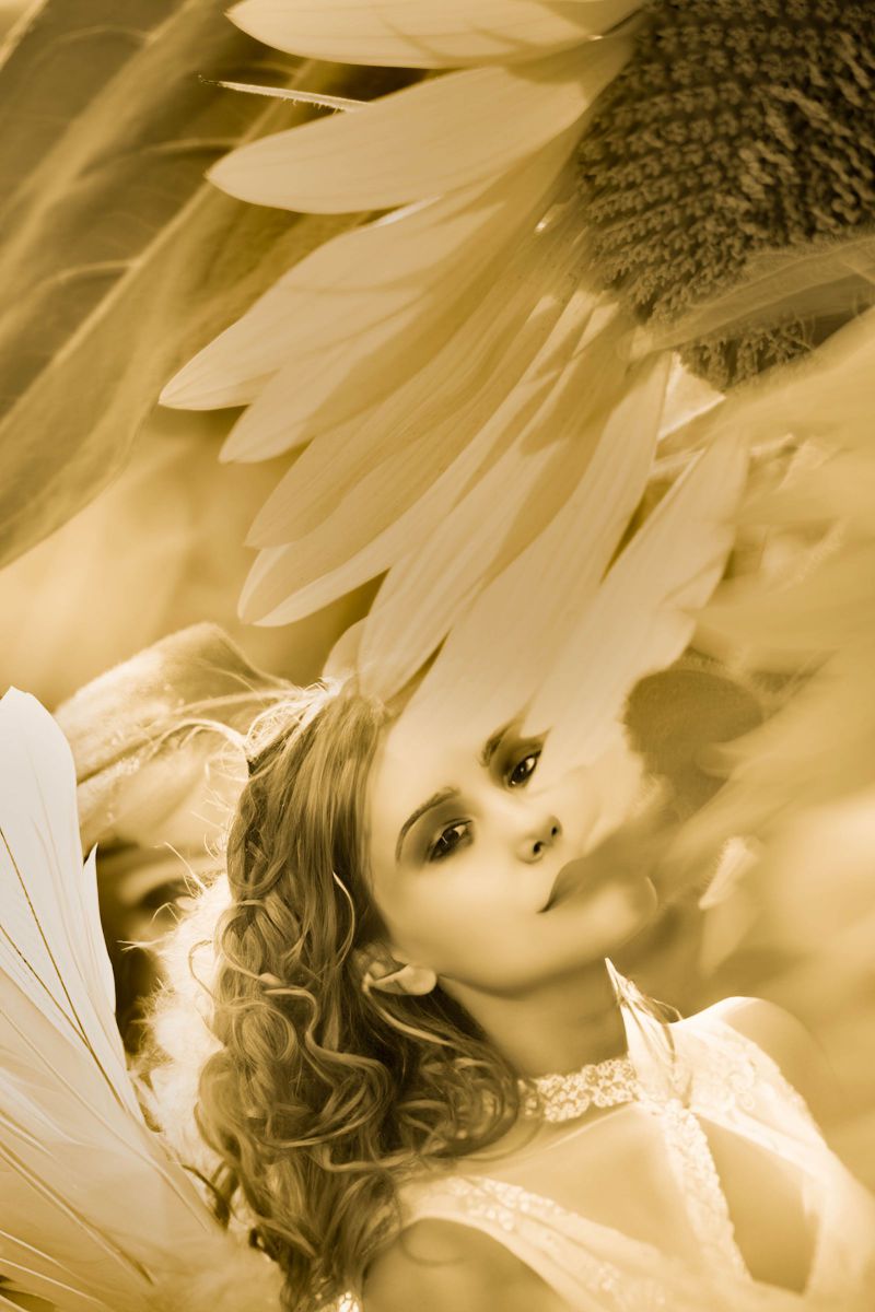 I am a summer fairy | GANREF