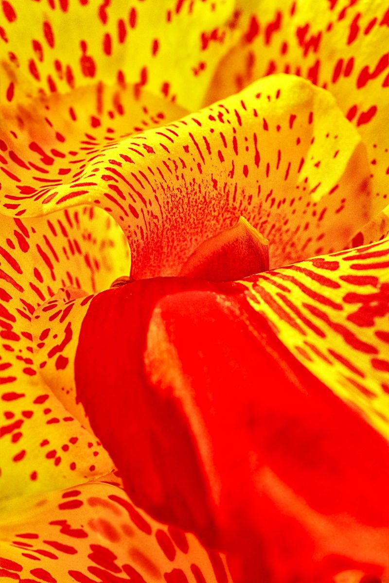 I can't get no satisfaction | GANREF