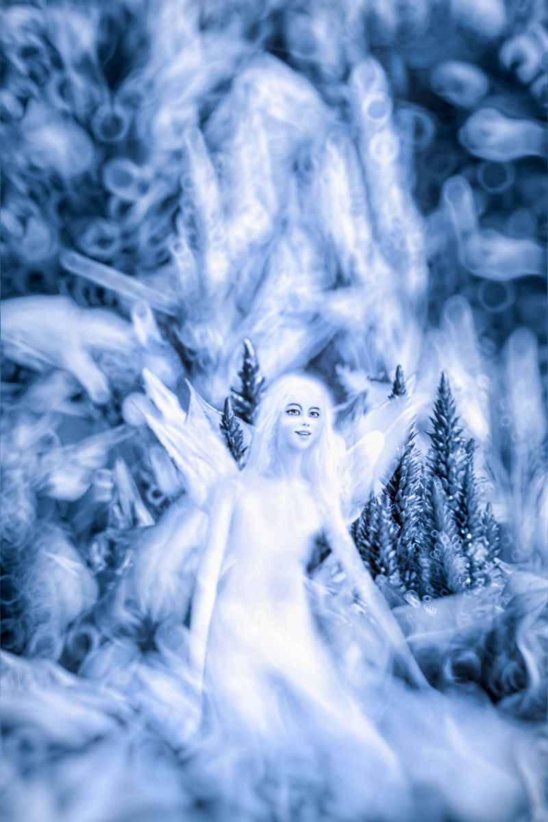 I'm a winter fairy | GANREF