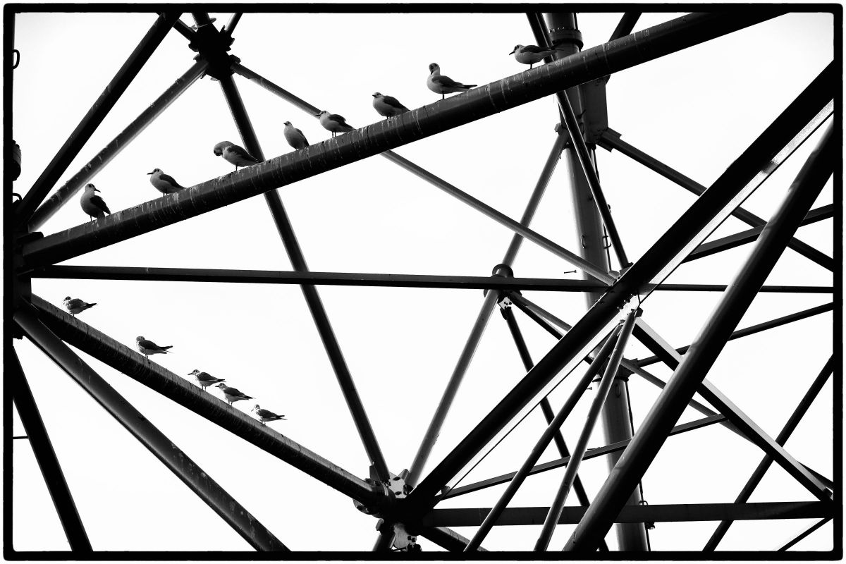 overlap & overlap & katu & paul | GANREF