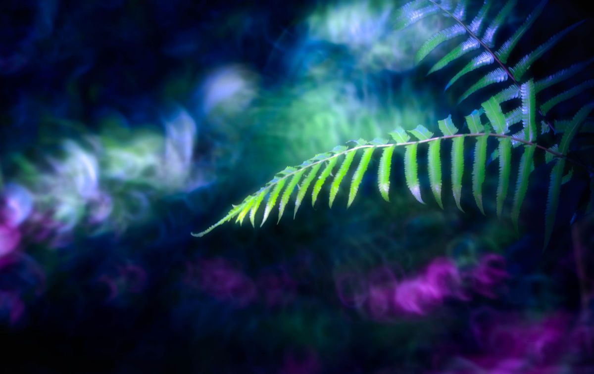 moving light | GANREF